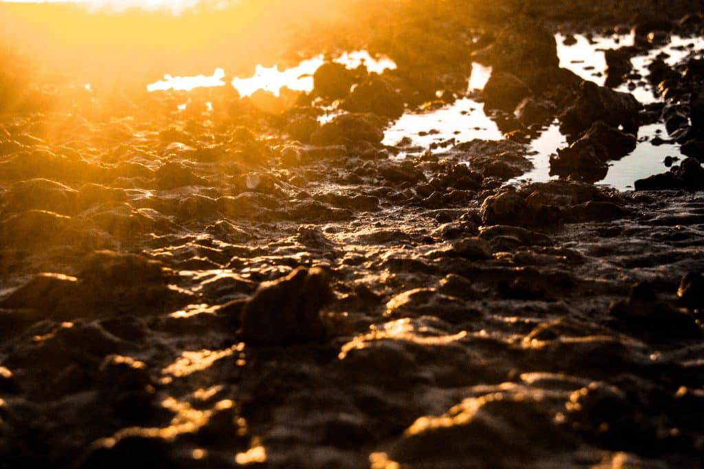 Votre guide pour les championnats du monde de cyclocross UCI 2019 ...